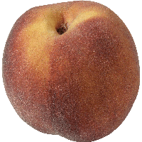 Peach Free Png Image Transparent HQ PNG Download | FreePNGimg
