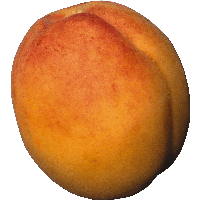 Peach Png Image Transparent HQ PNG Download | FreePNGImg