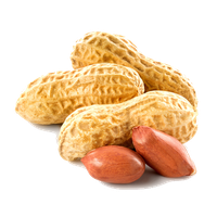 Download Peanut Free PNG photo images and clipart | FreePNGimg