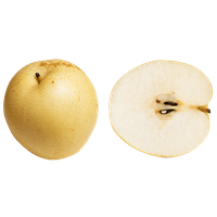 Pear Asian Free HD Image Transparent HQ PNG Download | FreePNGimg