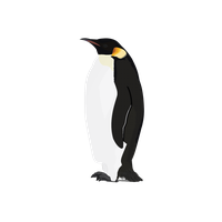 Download Penguin Free PNG photo images and clipart | FreePNGimg