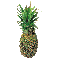 Pineapple Png Image Download Transparent HQ PNG Download | FreePNGimg