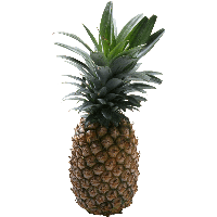 Pineapple Free Download Png Transparent HQ PNG Download | FreePNGImg