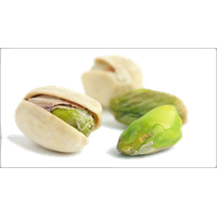 Pistachio Png Transparent HQ PNG Download | FreePNGImg