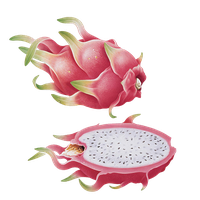 Pitaya Transparent HQ PNG Download | FreePNGimg