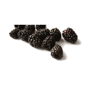Black Raspberries Transparent Transparent HQ PNG Download | FreePNGImg