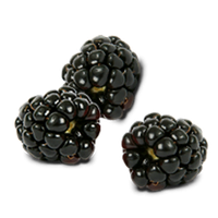 Black Raspberries Transparent Transparent HQ PNG Download | FreePNGImg