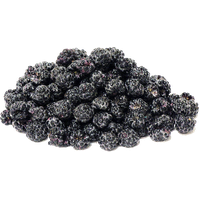 Black Raspberries Transparent Transparent HQ PNG Download | FreePNGImg