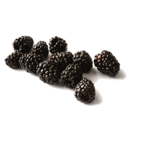 Download Raspberries Free PNG photo images and clipart | FreePNGimg