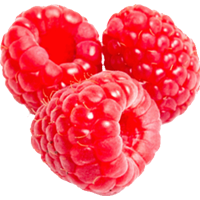 Download Raspberry Free PNG photo images and clipart | FreePNGimg