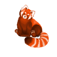 Download Red Panda Free PNG photo images and clipart | FreePNGimg
