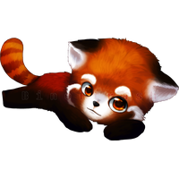 Red Panda Png Image Transparent HQ PNG Download | FreePNGImg