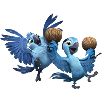 Download Rio Free PNG photo images and clipart | FreePNGimg