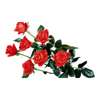 Field Transparent Image Transparent HQ PNG Download | FreePNGimg