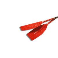 Download Rowing Free PNG photo images and clipart | FreePNGimg