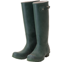 Rubber boots Transparent HQ PNG Download | FreePNGimg