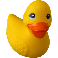 Rubber duck Transparent HQ PNG Download | FreePNGimg