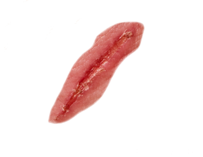 Scar Transparent HQ PNG Download | FreePNGimg