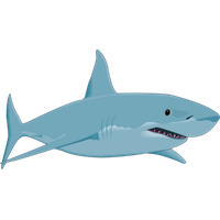 Download Sharks Free PNG photo images and clipart | FreePNGimg