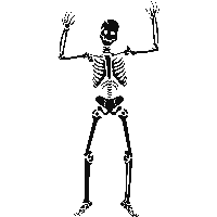 Skeleton Transparent Transparent HQ PNG Download | FreePNGImg