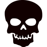 Skeleton Head Png Picture Transparent HQ PNG Download | FreePNGImg