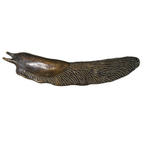Slug Transparent HQ PNG Download | FreePNGimg