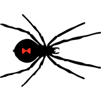 Hanging Spider Transparent Transparent HQ PNG Download | FreePNGimg