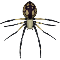 Download Spider Free PNG photo images and clipart | FreePNGimg