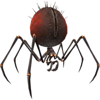 Download Spider Free PNG photo images and clipart | FreePNGimg