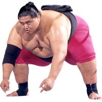 Sumo Transparent HQ PNG Download | FreePNGimg