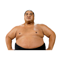 Sumo Transparent HQ PNG Download | FreePNGimg