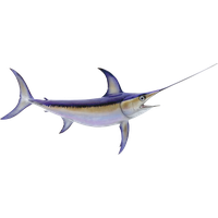 Download Swordfish Free PNG photo images and clipart | FreePNGimg