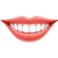 Download Teeth Free PNG photo images and clipart | FreePNGimg