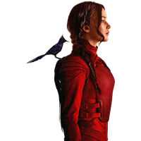 The Hunger Games Png Clipart Transparent HQ PNG Download | FreePNGimg