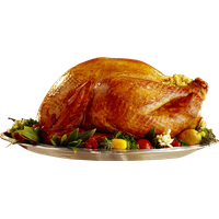 Turkey Png Image Transparent HQ PNG Download | FreePNGimg