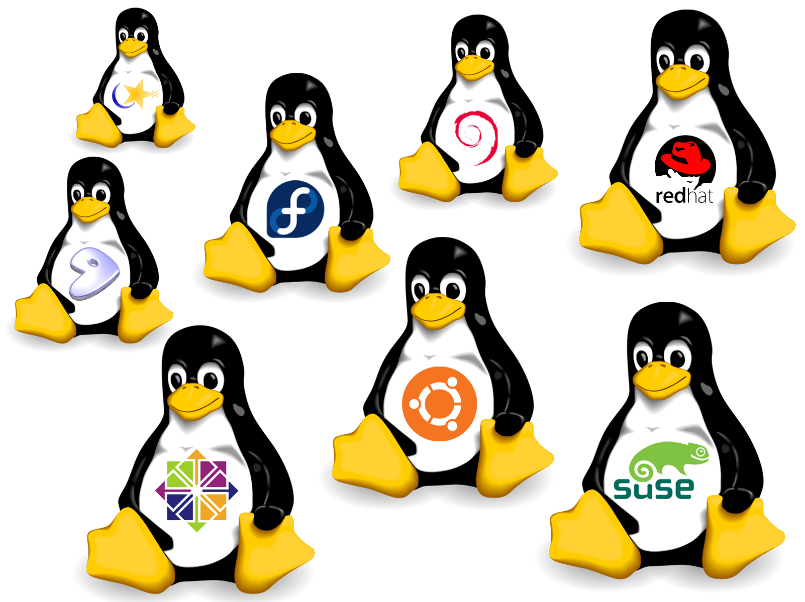 Download Suse Linux Operating Systems Ubuntu Distributions HQ PNG Image 