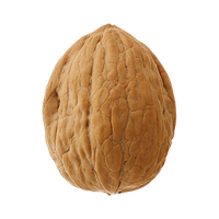 Download Walnut Transparent HQ PNG Image in different resolution ...
