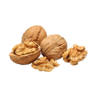 Walnut Png Pic Transparent HQ PNG Download | FreePNGImg