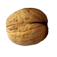 Walnut Transparent Transparent HQ PNG Download | FreePNGimg