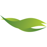 Green Wave HD Image Free Transparent HQ PNG Download | FreePNGimg