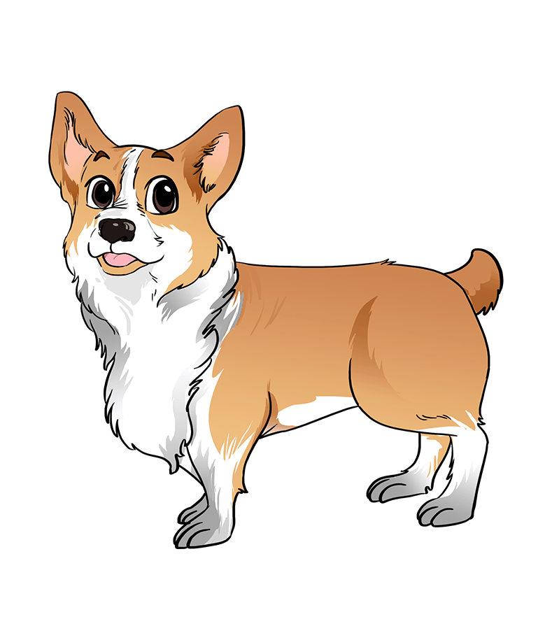 Welsh Corgi dog Transparent HQ PNG Download | FreePNGimg