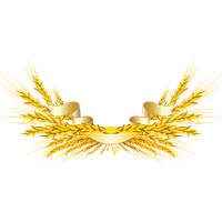 Download Wheat Free PNG photo images and clipart | FreePNGimg
