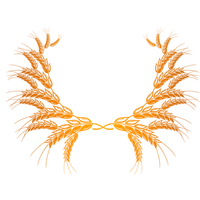 Download Wheat Free PNG photo images and clipart | FreePNGimg