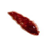 Wound Transparent HQ PNG Download | FreePNGimg