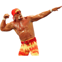 Download Wwe Free PNG photo images and clipart | FreePNGimg